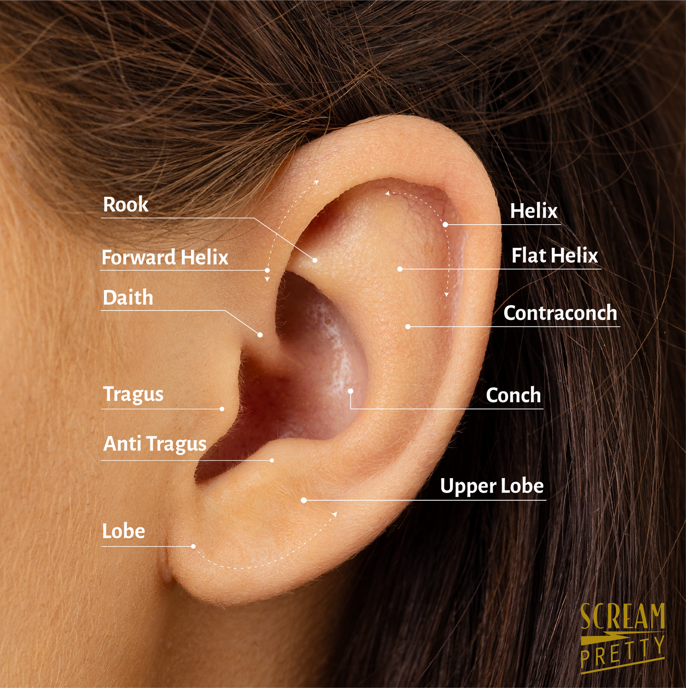 The Scream Pretty Guide to Ear Piercing Placements